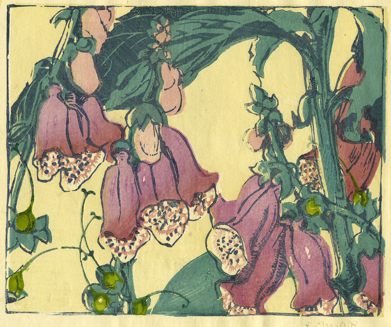 Foxgloves by Mabel Allington Royds | Annex Galleries Fine Prints