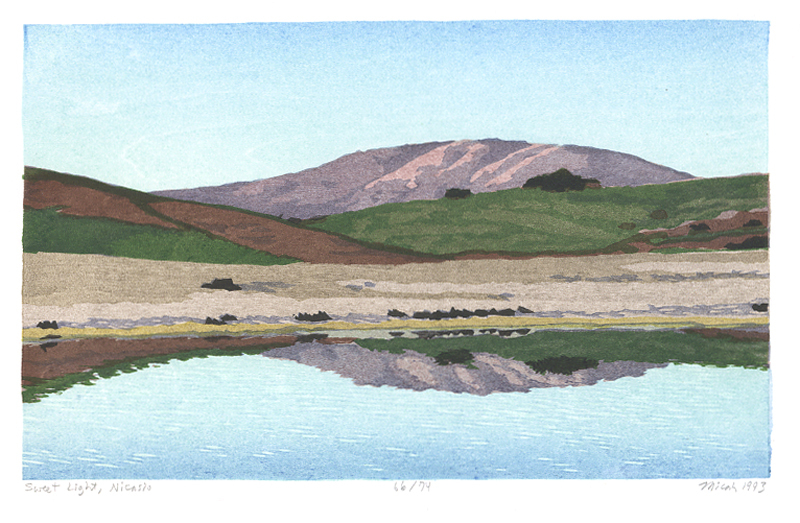 Sweet Light, Nicasio by Micah Schwaberow | Annex Galleries Fine Prints