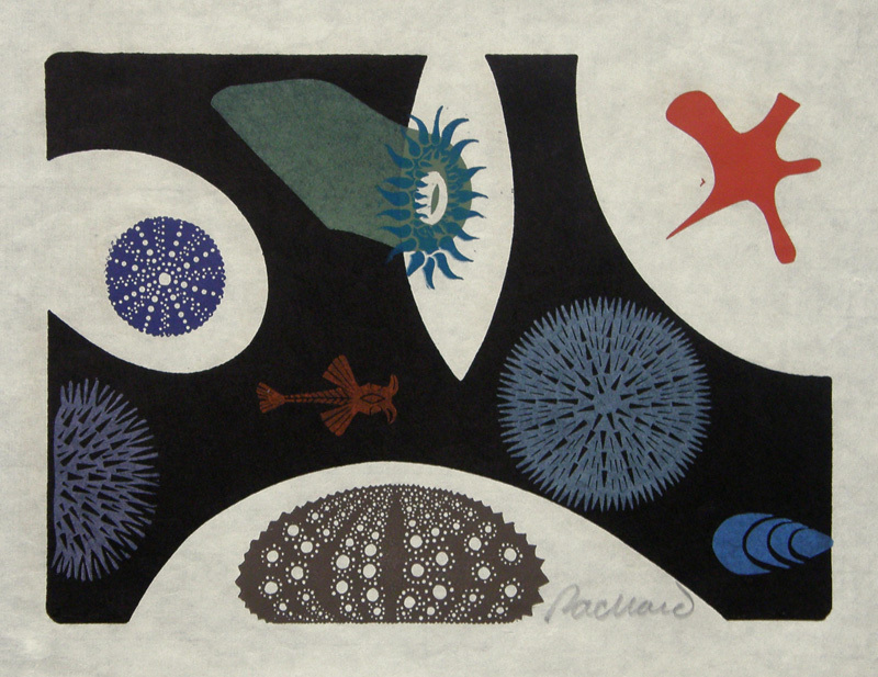 (Tidal Pool) by Emmy Lou Packard | Annex Galleries Fine Prints