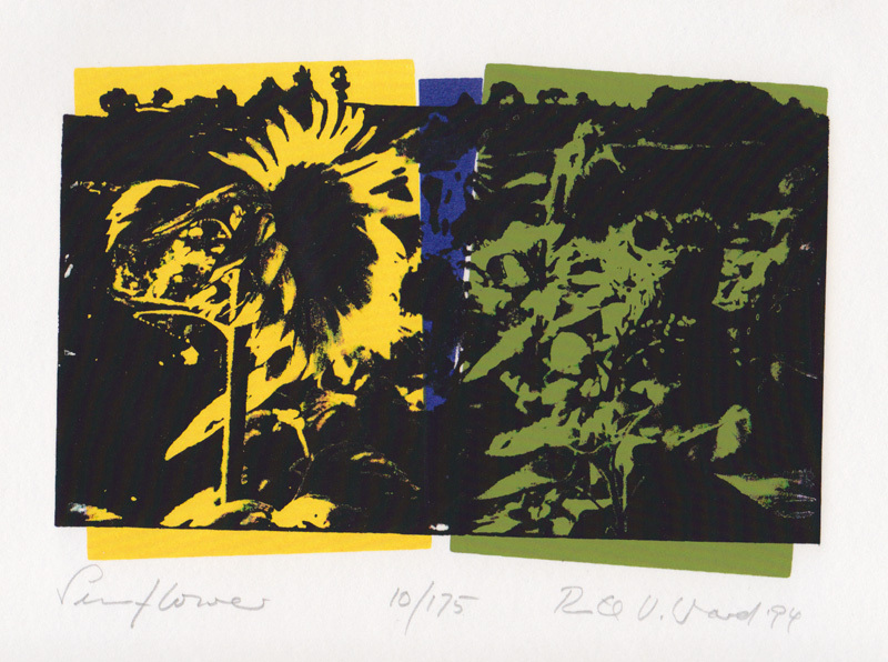 Sunflowers by Ruth Viktoria Ward | Annex Galleries Fine Prints