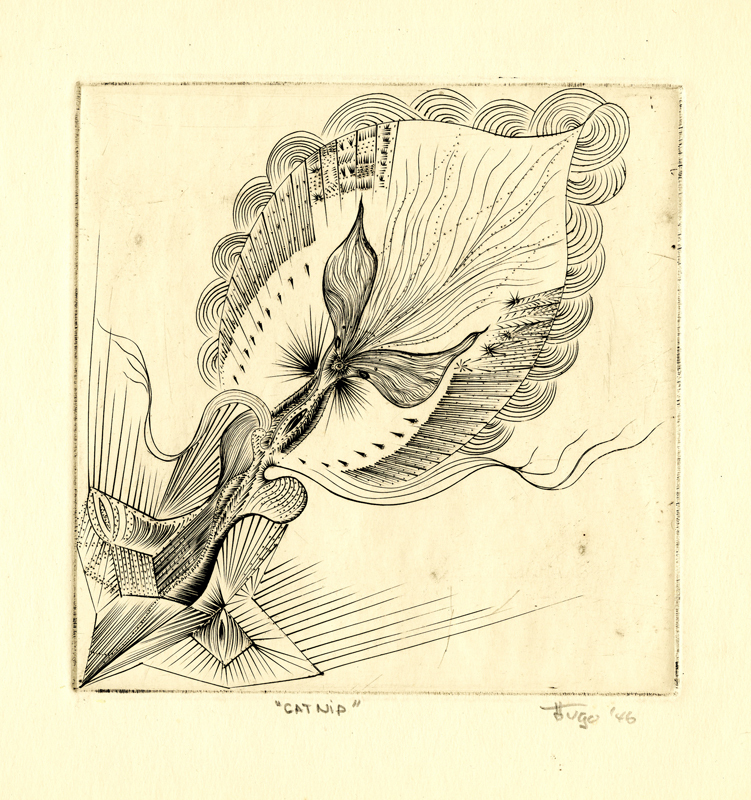 Cat Nip by Ian Hugo | Annex Galleries Fine Prints