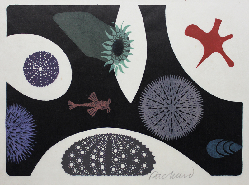 (Deep Sea Composition) by Emmy Lou Packard | Annex Galleries Fine Prints