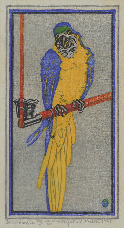 Blue Macaw by Elizabeth Norton | Annex Galleries Fine Prints