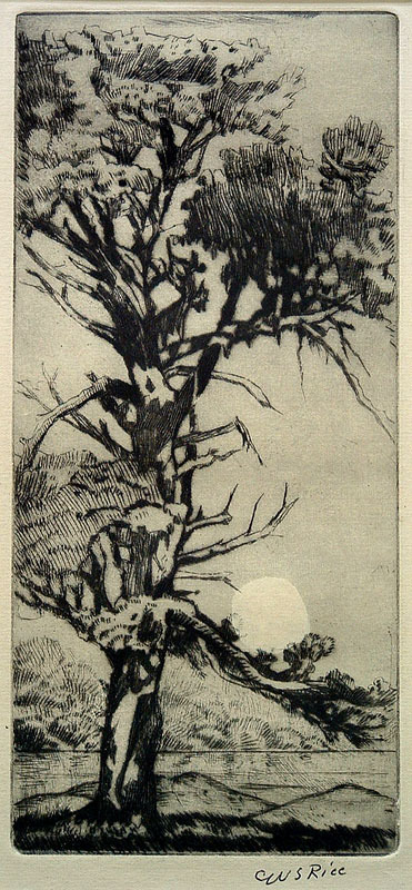 (Eucalyptus in the Moonlight) by William Seltzer Rice | Annex Galleries ...