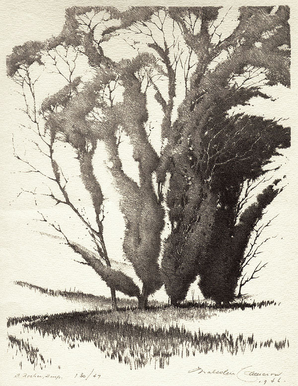 The Black Sheep by Malcolm Paul Cameron | Annex Galleries Fine Prints
