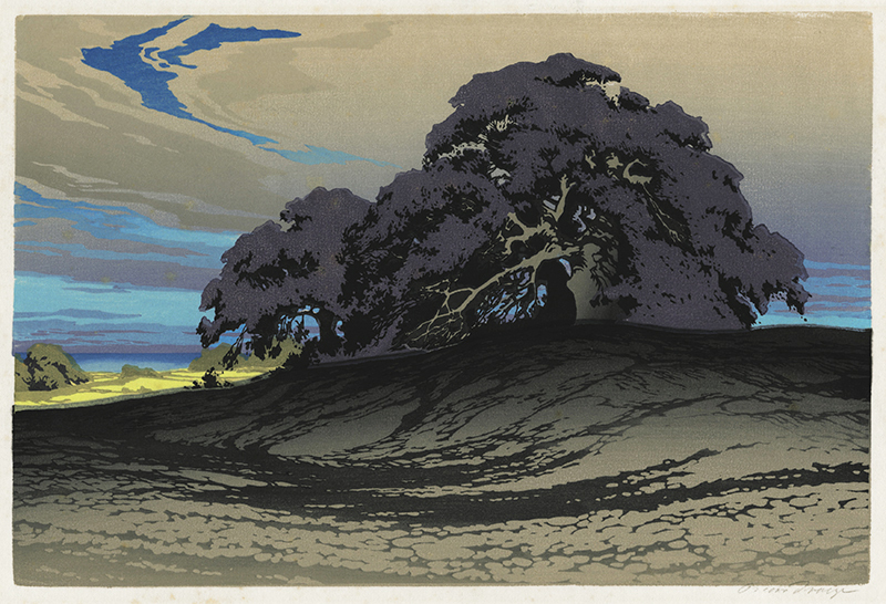 Oaks by Paul Oscar Droege | Annex Galleries Fine Prints