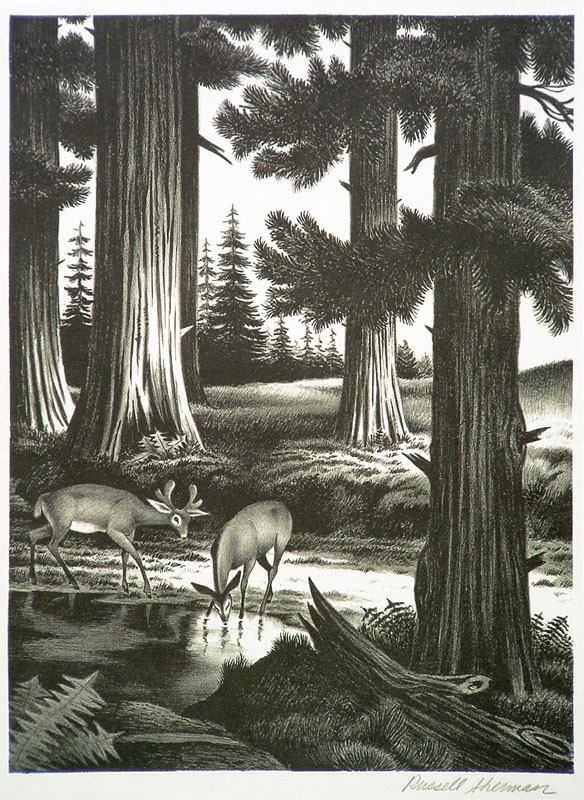 Forest Folk by Russell Sherman | Annex Galleries Fine Prints