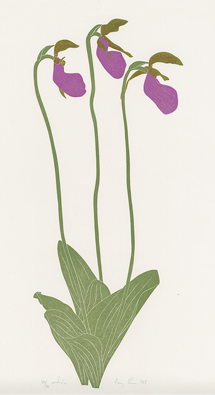 Orchids by Henry Herman Evans | Annex Galleries Fine Prints