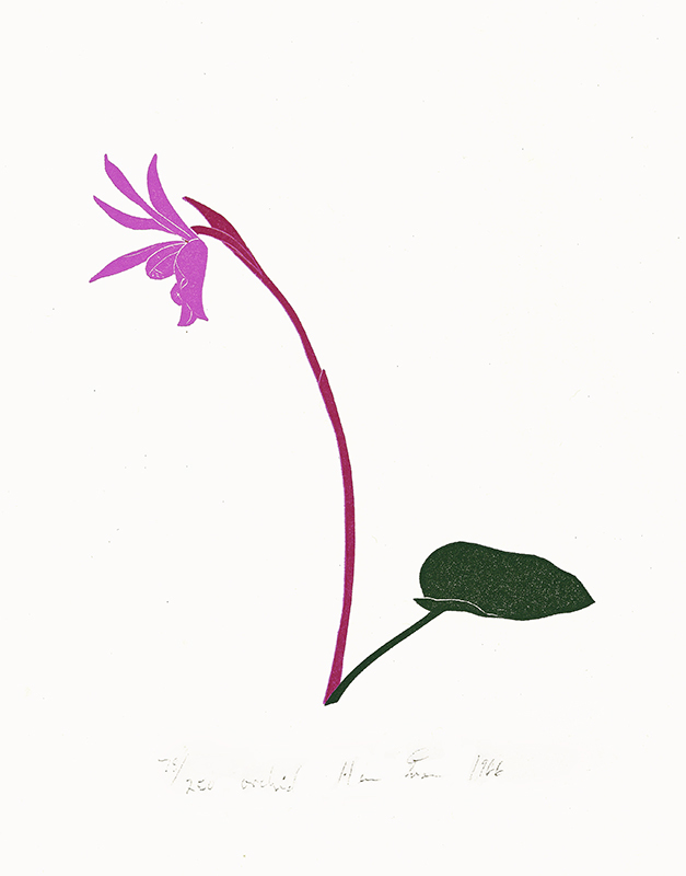 Orchid by Henry Herman Evans | Annex Galleries Fine Prints