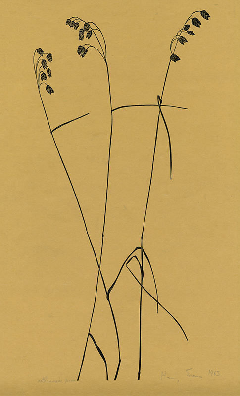 Rattlesnake Grass by Henry Herman Evans | Annex Galleries Fine Prints