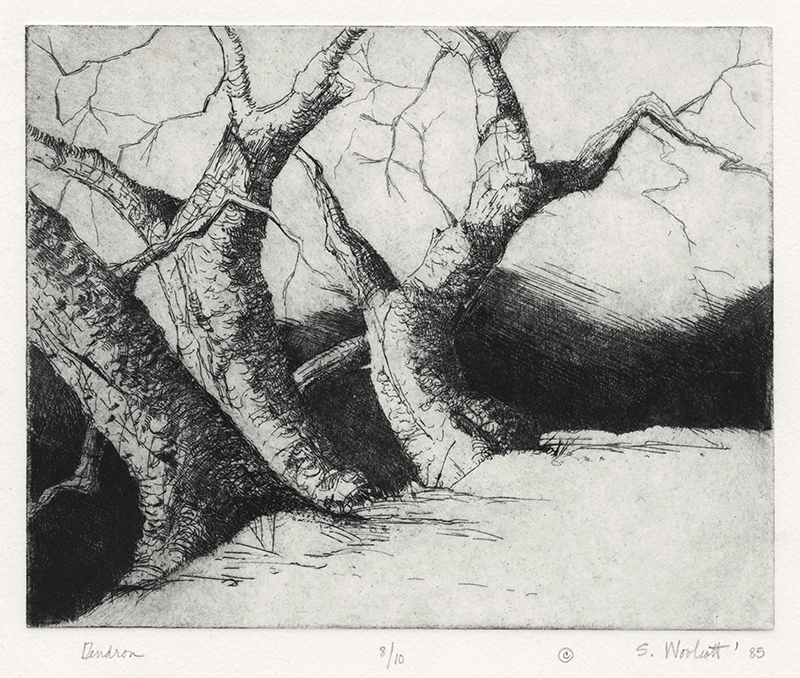 Dendron by Sam (Susan) Woolcott | Annex Galleries Fine Prints