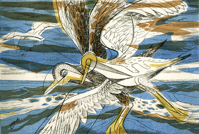 Sea Birds by Roderick Mead | Annex Galleries Fine Prints