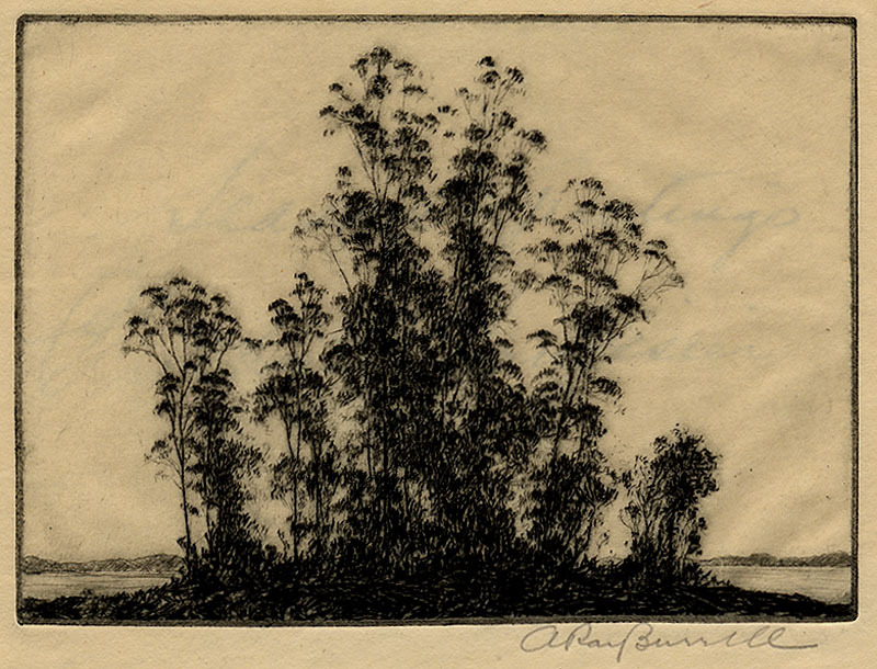 (Eucalyptus Trees) by Alfred Ray Burrell | Annex Galleries Fine Prints