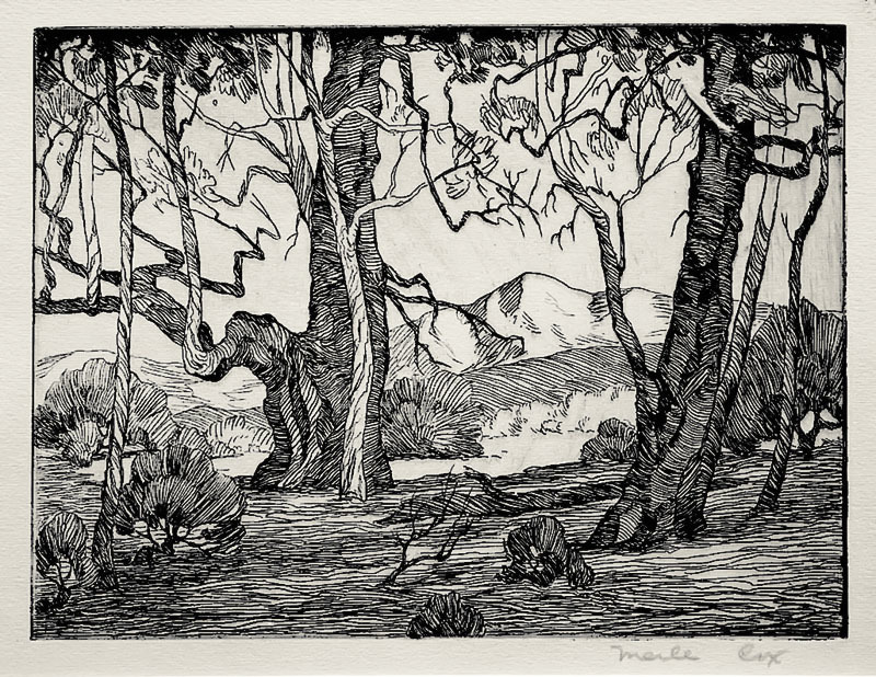 (Southern California Landscape) by Merle Thomas Cox | Annex Galleries ...
